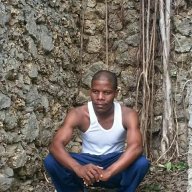 Kilimo cha miti ya mbao au kilimo cha mikorosho | JamiiForums